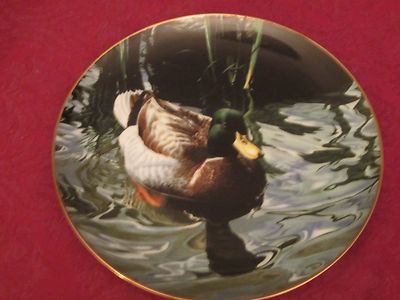 MALLARD DUCK collector plate RON PARKER Waterbirds - Hamilton ...