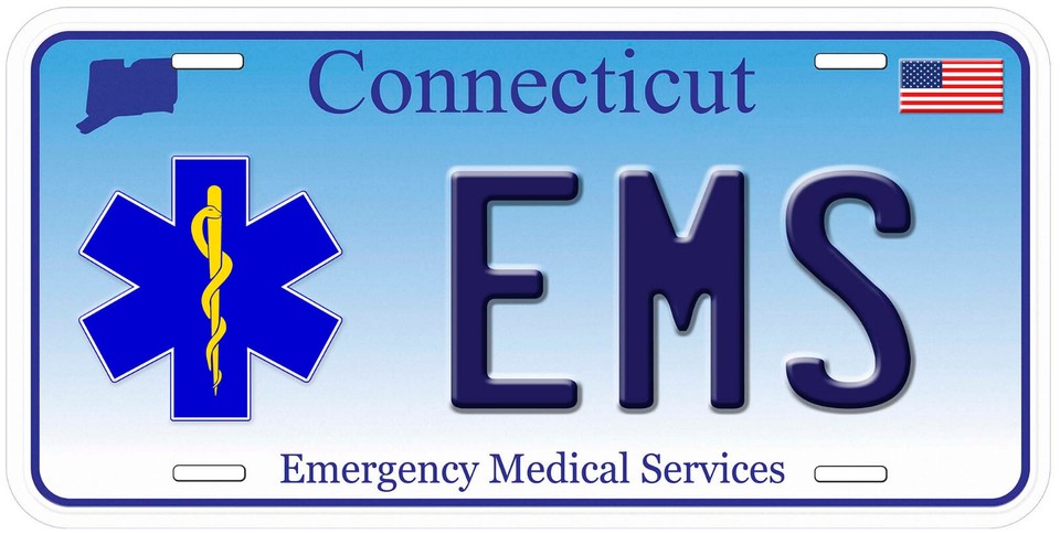 Custom EMS Any State Personalized Novelty Car License Plate | eBay