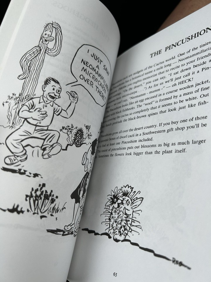 What Kinda Cactus Izzat Reg Manning Who's Who In The Desert Cartoon ...