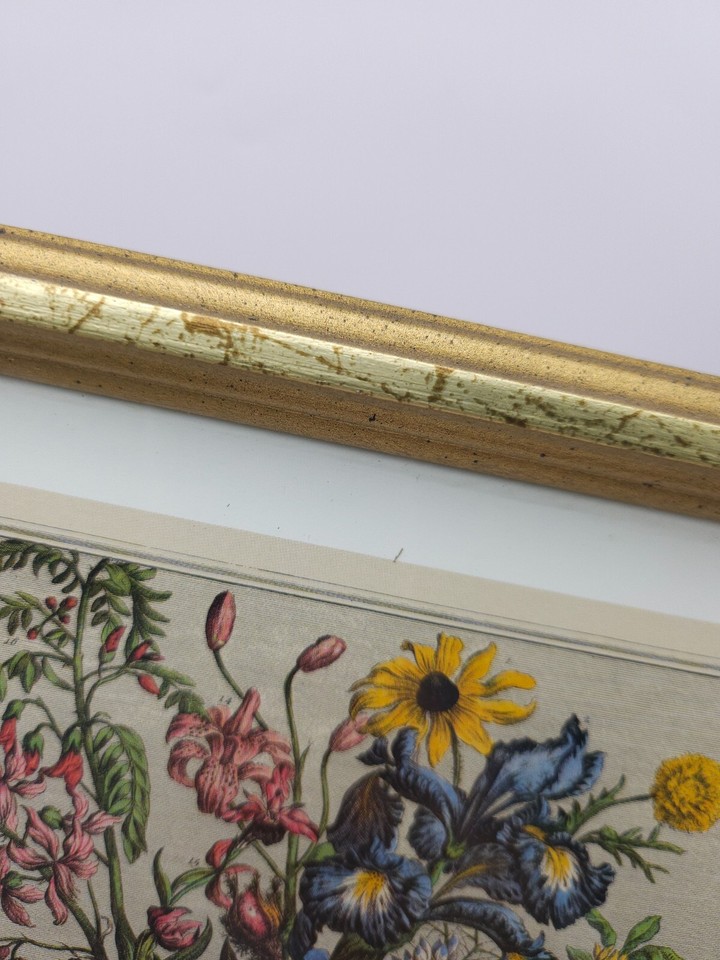 Vintage Made in CANADA Framed JUNE Floral Bouquet Botanical Prints 11 ...