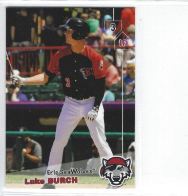 2019 Erie SeaWolves (Double A-Detroit Tigers) Luke Burch | eBay