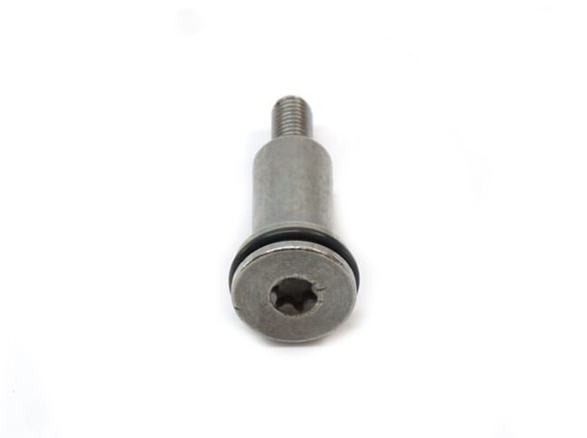 NEW***Genuine Mini Cooper Timing Chain Guide Rail Bolt W/ O-Ring ...