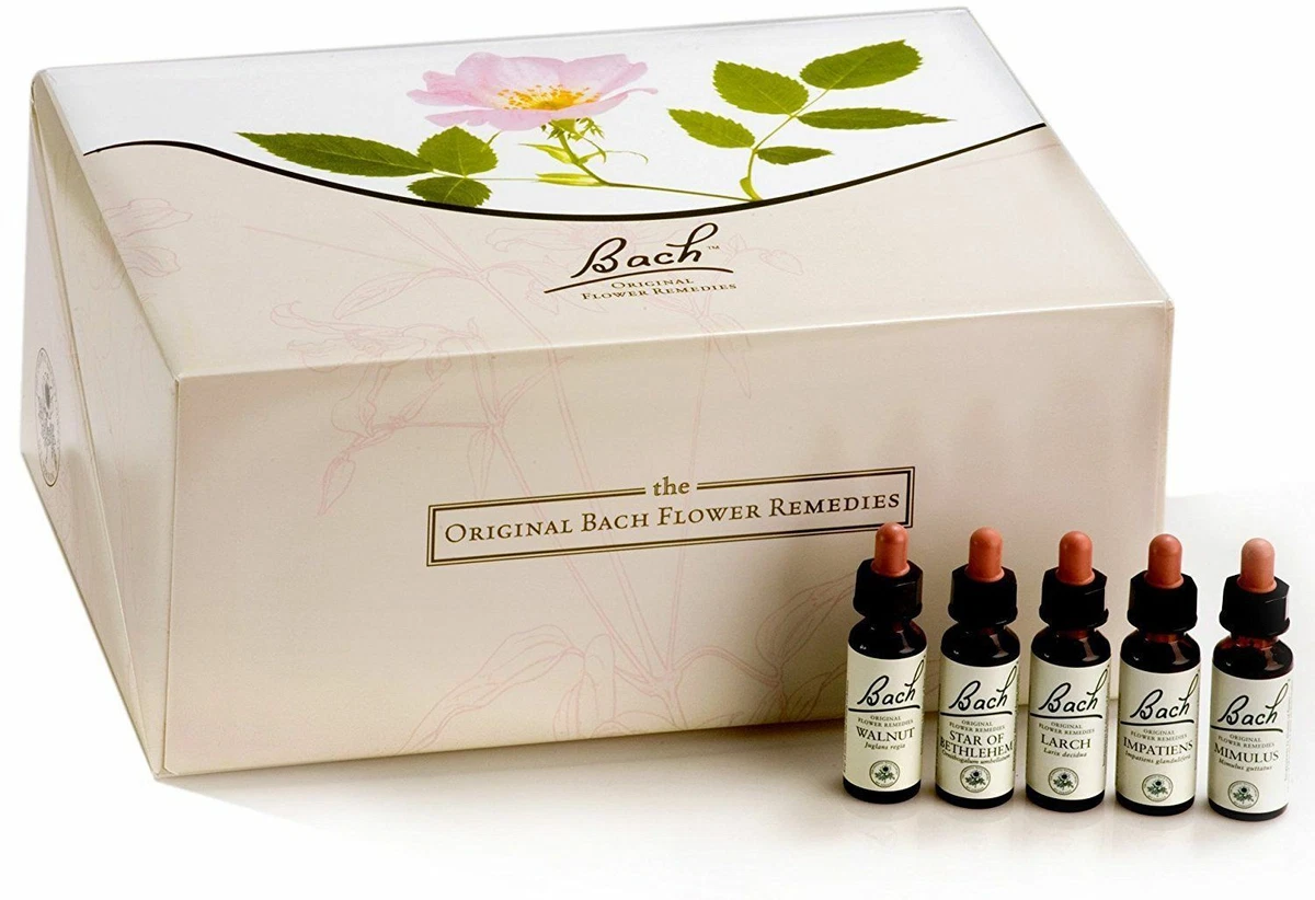 How To Become A Bach Flower Practitioner Australia | Best Flower Site
