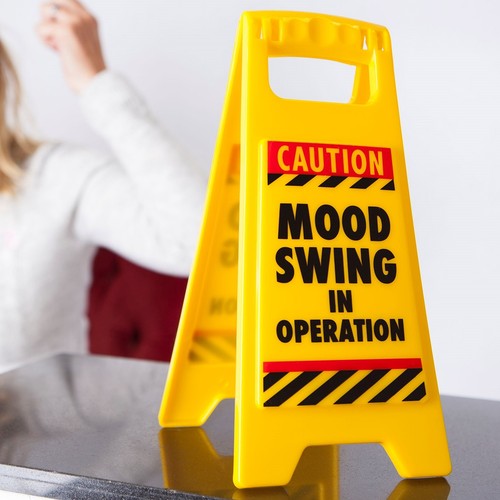 Boxer Gifts Mood Swing Novelty Warning Sign | Funny Gift Wife Colleague ...