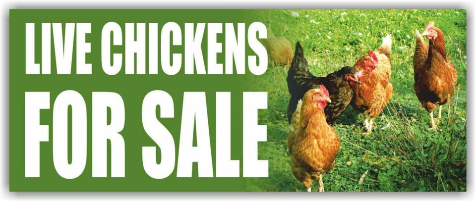 LIVE CHICKENS FOR SALE Advertising Banner Vinyl Mesh Sign Flag Farmers ...