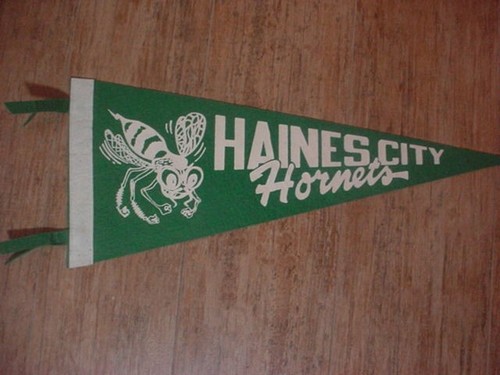 VINTAGE FLORIDA High School Football PENNANT 18" RARE Haines City ...