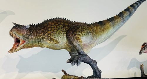 Sideshow Collectibles Carnotaurus Statue Repainted with Box Dinosaur ...