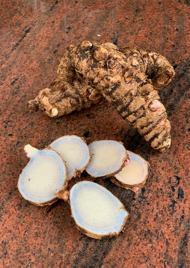 Black Turmeric Bulbs Rhizome (Curcuma caesia) Black Zedoary 300+ gr For ...