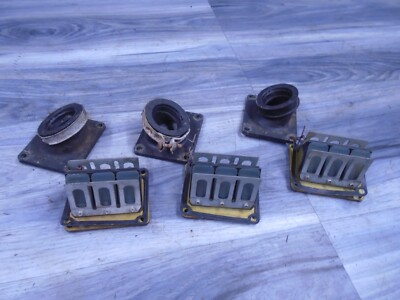 00 2000 Yamaha Mountain Max 700 Snowmobile Engine Reeds Cages Pedal ...