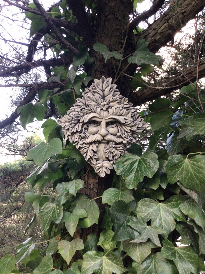 STONE GARDEN DIAMOND LEAF BERRY GREEN MAN LEAF FACE WALL PLAQUE PAGAN ...
