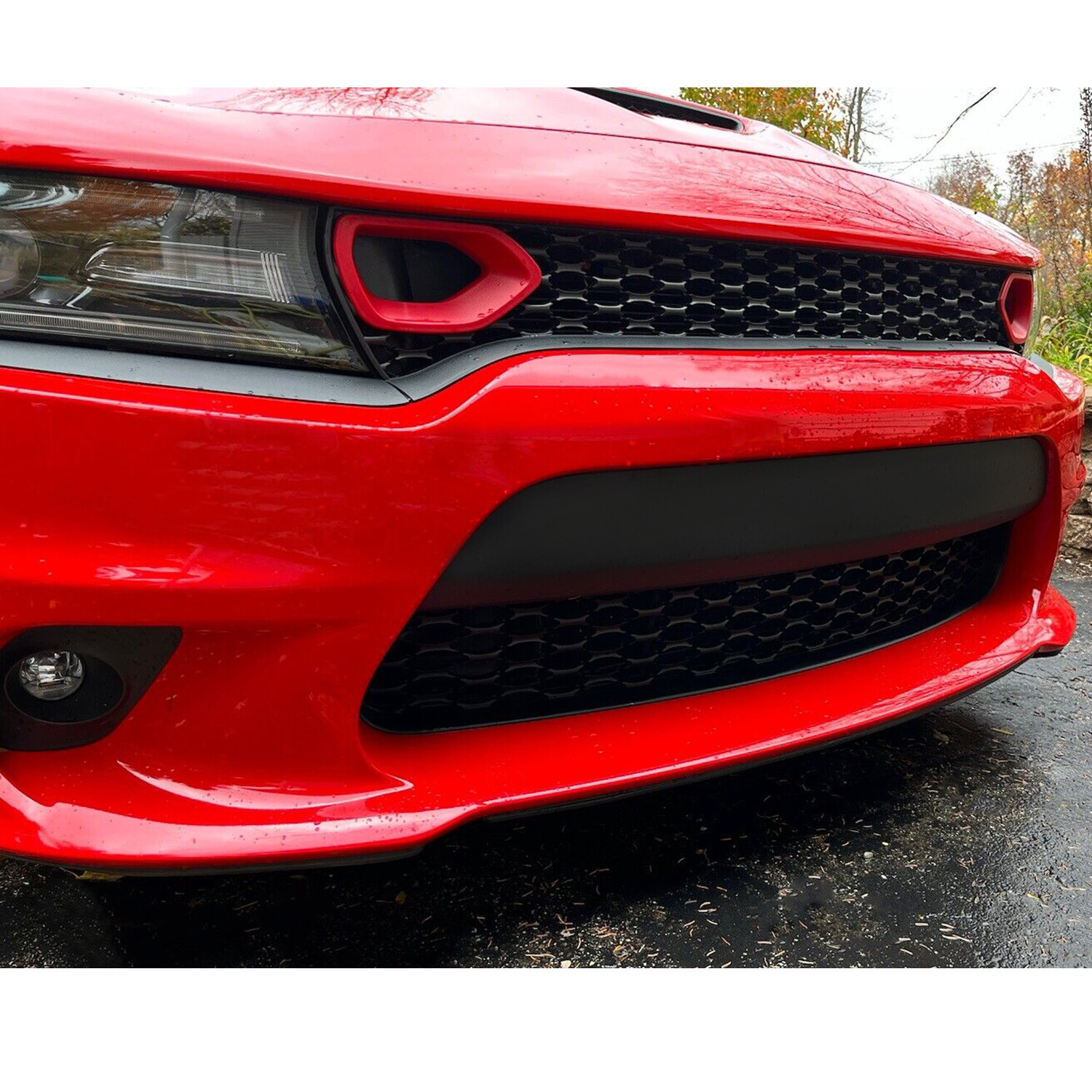 Front Lower Mesh Bumper Grille For 2015-2023 Dodge Charger SRT Scat ...