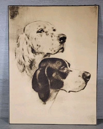 Vintage Hunting Etching Dog Pointers Print J. Knowles Hare 12" X 16" | eBay