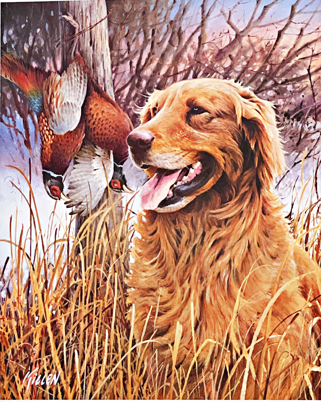 Jim Killen Sporting Dog Art That's My Dog-Golden Retriever Pheasant (14 ...