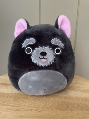 Squishmallow 5" Chuy Cairn Terrier Dog Used- Perfect Condition | eBay