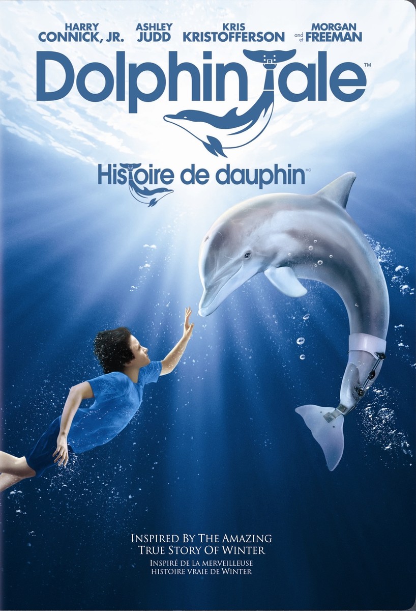 Dolphin Tale Logo Winter: Prosthetic Tail Helps Baby Dolphin Swim