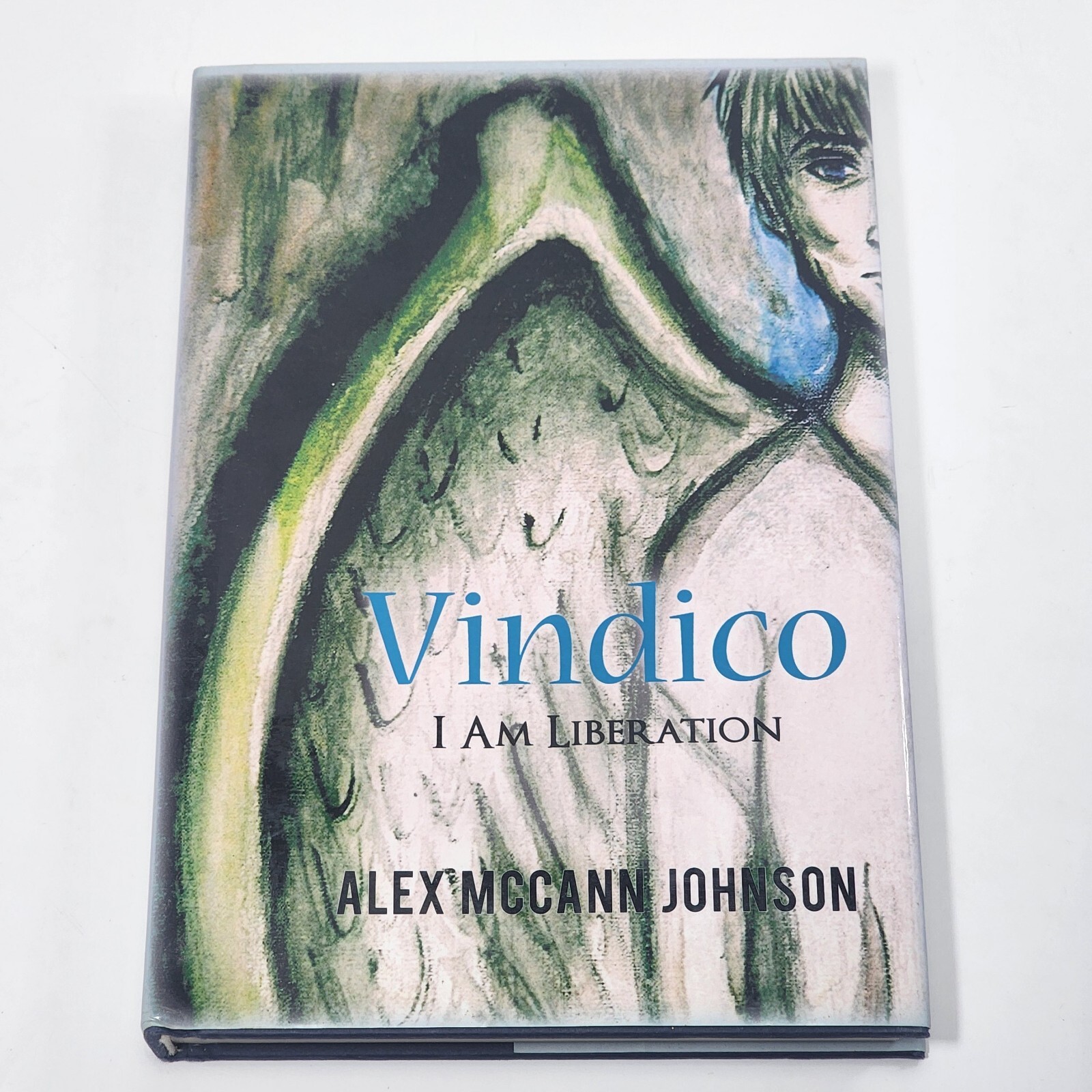 Vindico: I Am Liberation [Hardcover] Johnson, Alex McCann 9781462007394 ...