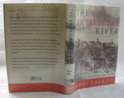 THE ARTIFICIAL RIVER by Carol Sheriff | eBay