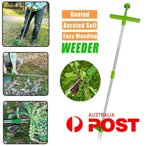 Standing Plant Root Remover-Outdoor Family Yard Garden Weed Puller Tool ...