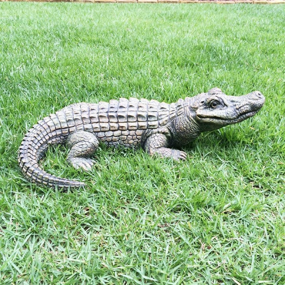 Realistic Alligator Gator Sculpture Statue Lifelike Yard Pool Garden ...