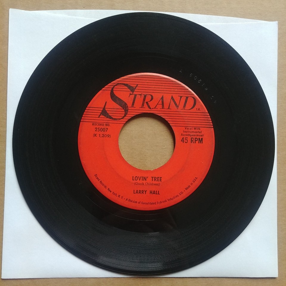 LARRY HALL Sandy 45 7" POP ROCK ROCKABILLY Record Vinyl STRAND Records ...