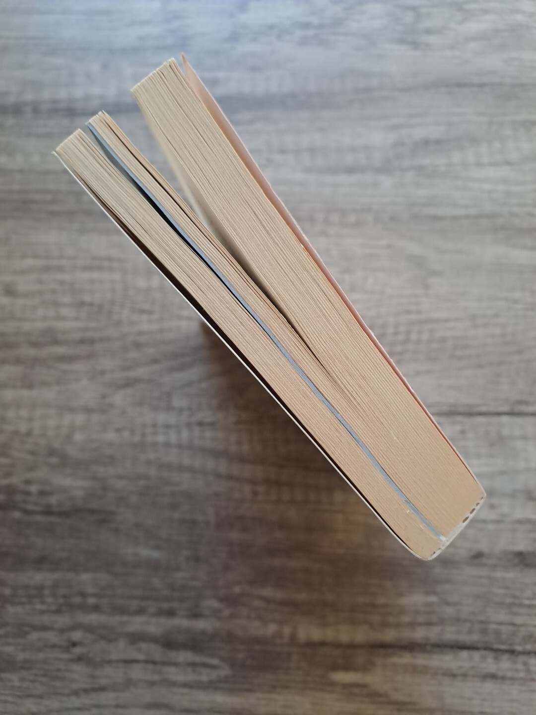 The Youngs: The Brothers Who Built AC/DC Jesse Fink (USA Edition ...