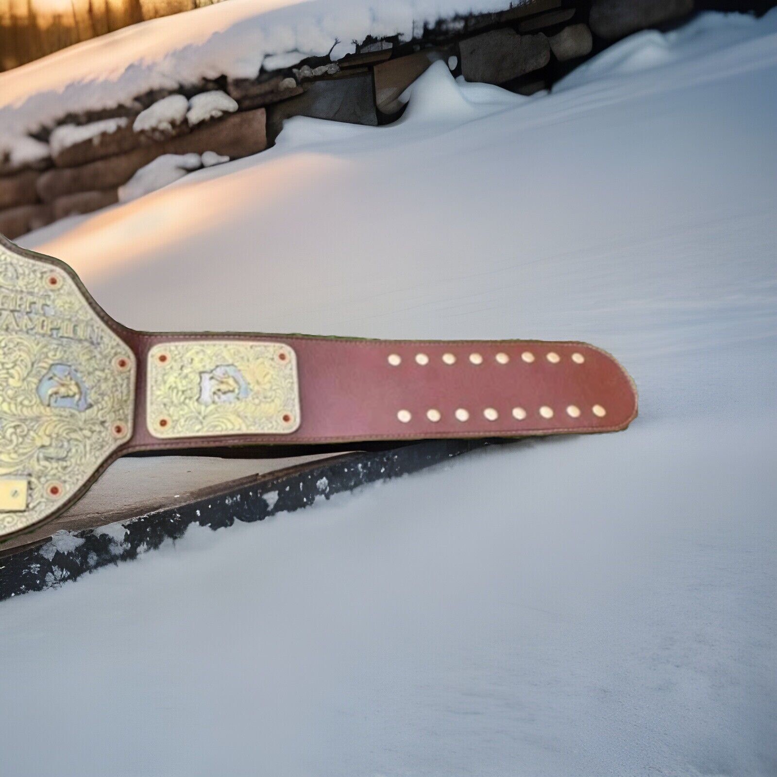 Custom World Heavyweight Wrestling Championship Replica Belt” | eBay