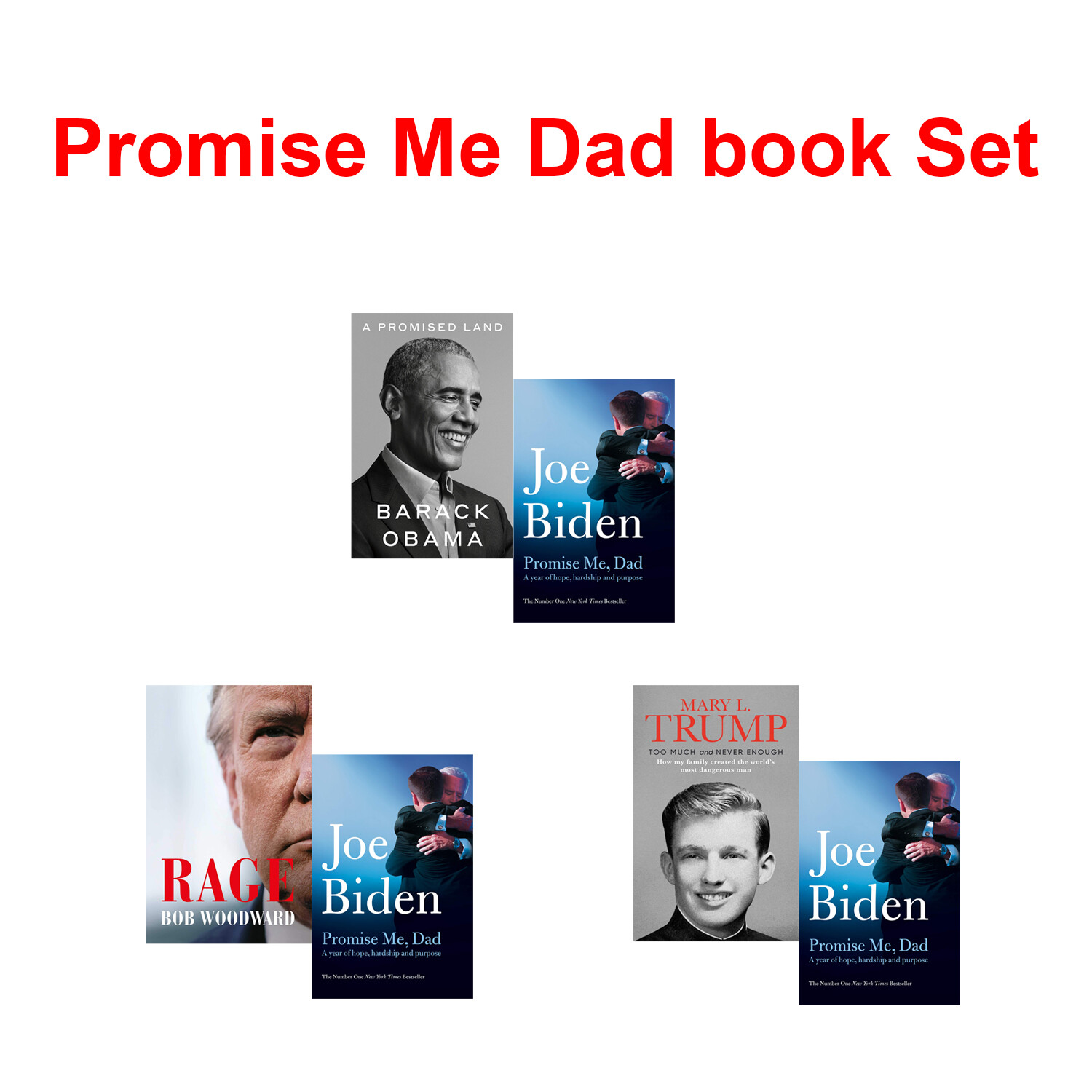 Promise Me Dad book A Promised Land, Rage, Too Much and Never Enough ...