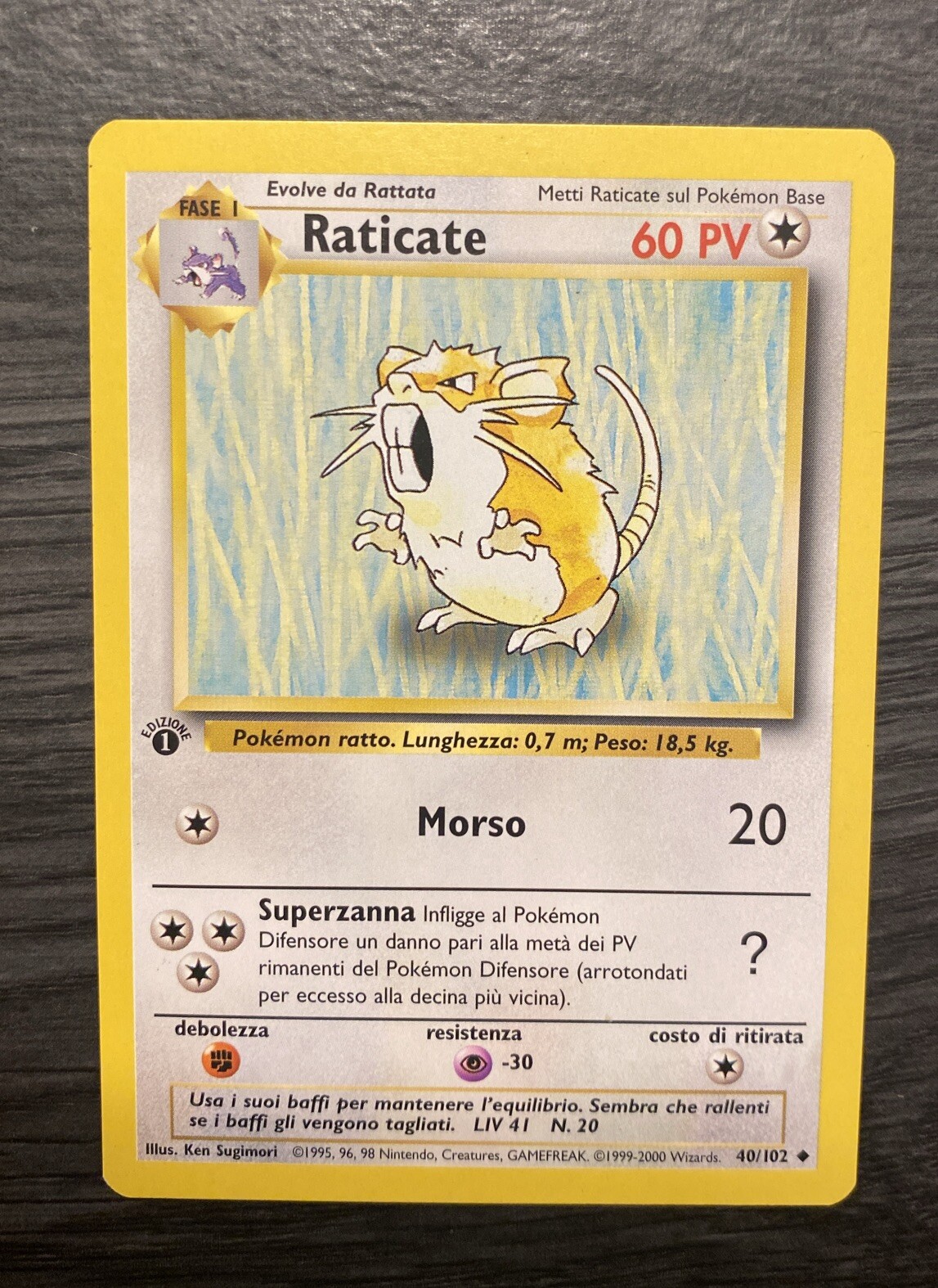 Raticate (ITALIAN) 1st Edition Base Set 40/102 Pokemon NM | eBay