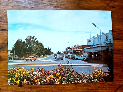 Renmark SA Real Photo Postcard Renmark Ave | eBay
