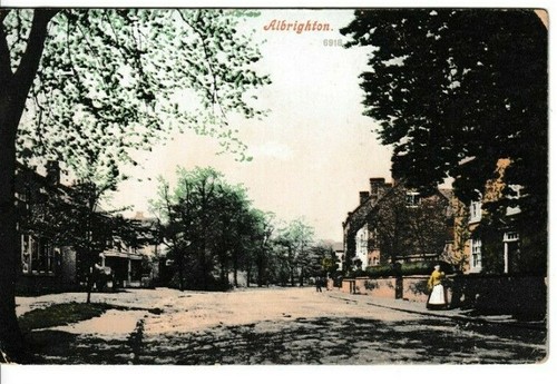 ALBRIGHTON, SHROPSHIRE - THE VILLAGE STREET COLOUR POSTCARD (1905) | eBay