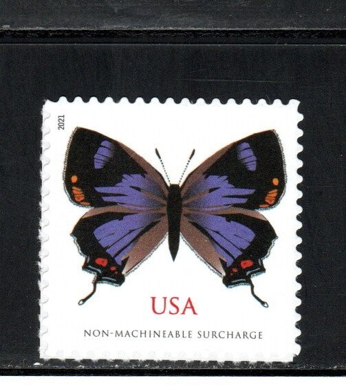 5568 * COLORADO HAIRSTREAK BUTTERFLY * U.S. Postage Stamp MNH | eBay