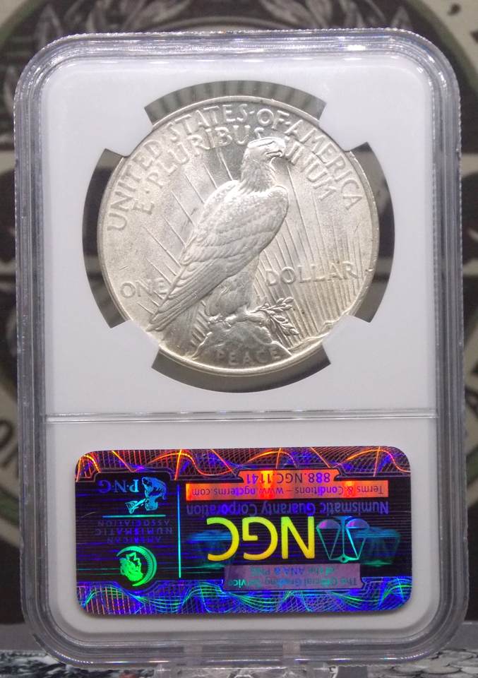 1922 "P" Peace SILVER Dollar VAM-2C *EXTRA HAIR* $1 NGC MS62 #006 Unc ...