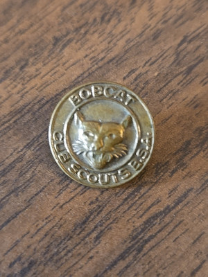 Vintage Pinback Button Bobcat Cub Scouts B.S.A Button | eBay