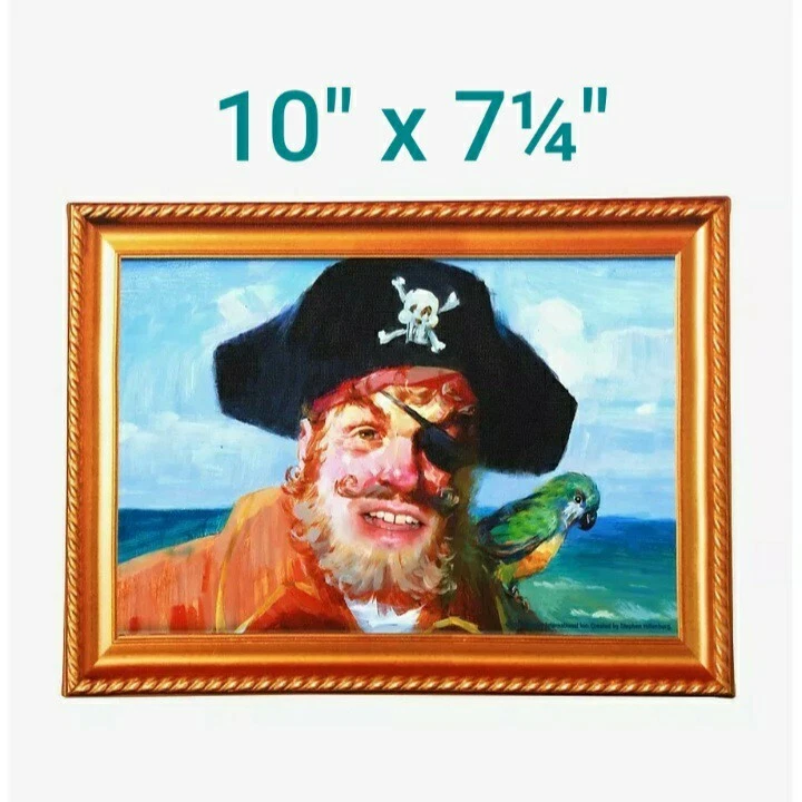 Patchy The Pirate
