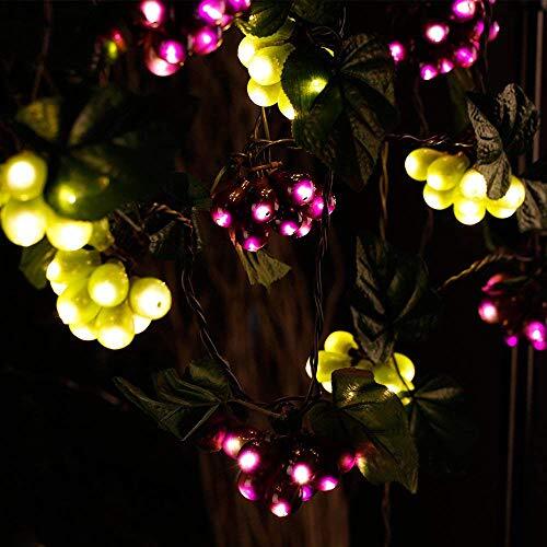 100 Led Purple Green Grape String Lights Grapevine Lights With 10 Cluster | eBay
