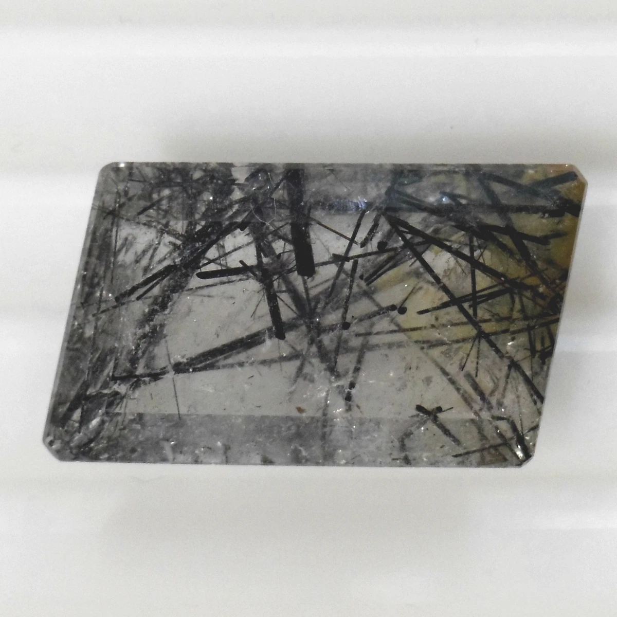 Parallelogram In Nature