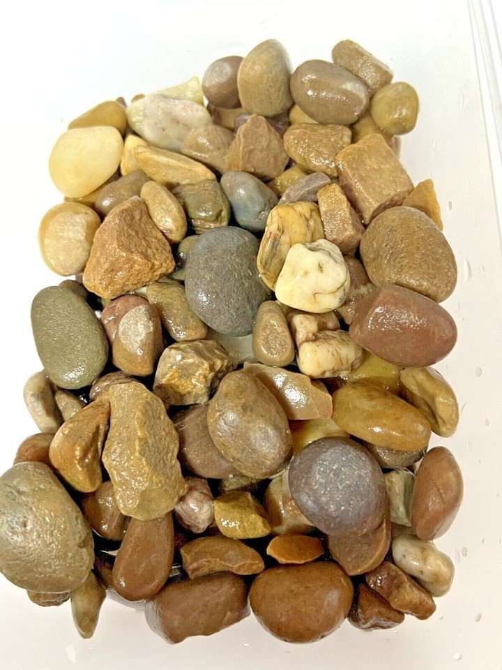 Fish Tank Aquarium Natural Pea Gravel Stones Substrate 20mm Top quality ...