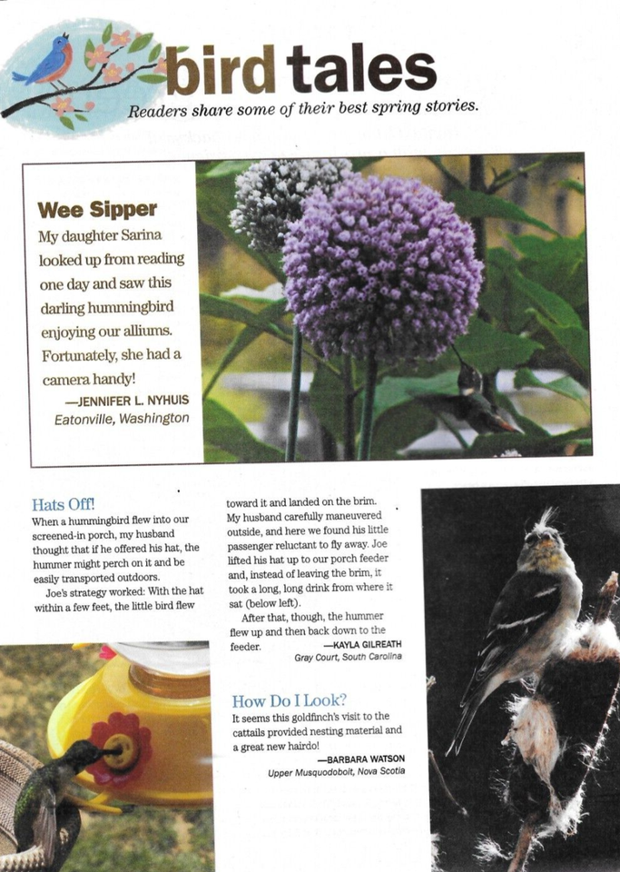 Birds And Blooms Magazine Butterfly Garden Hummingbirds Grow Vegetables ...