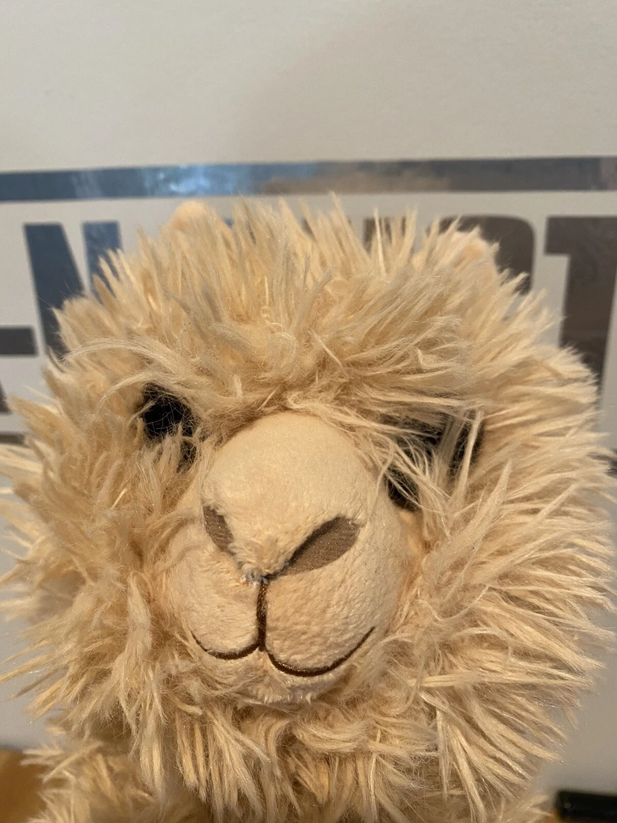 Alpaca Eyelashes