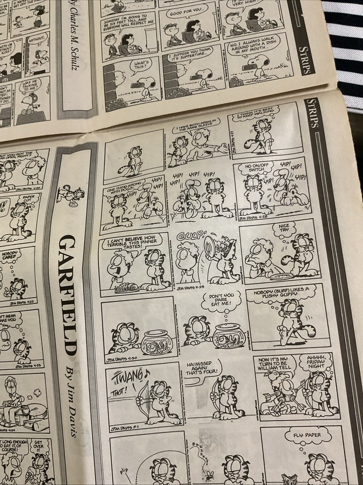 1999 Storyline Strips Lot Of 10 Newspaper Comic Strip Reprints 2 Weeks ...