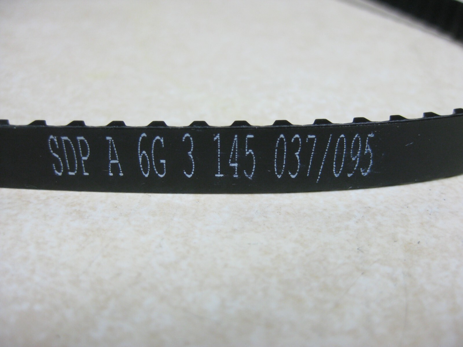 New SDP A 6G 3 145 037/095 Timing Belt - 290XL037UP | eBay