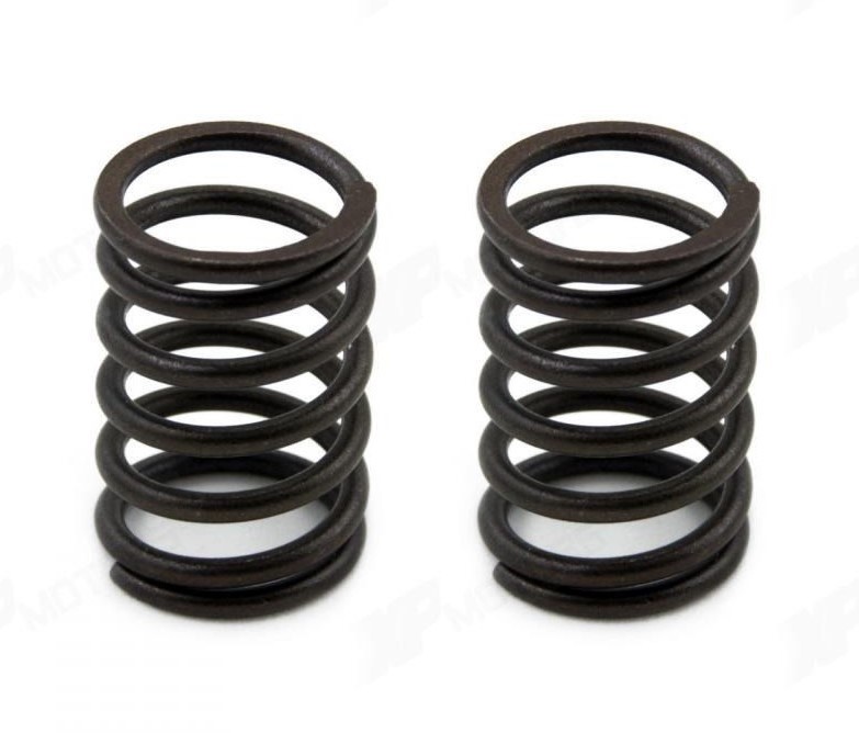 Valve Springs Fits Honda GX610 GX620 GX670 GXV270 GXV340 GXV390 GXV610 ...
