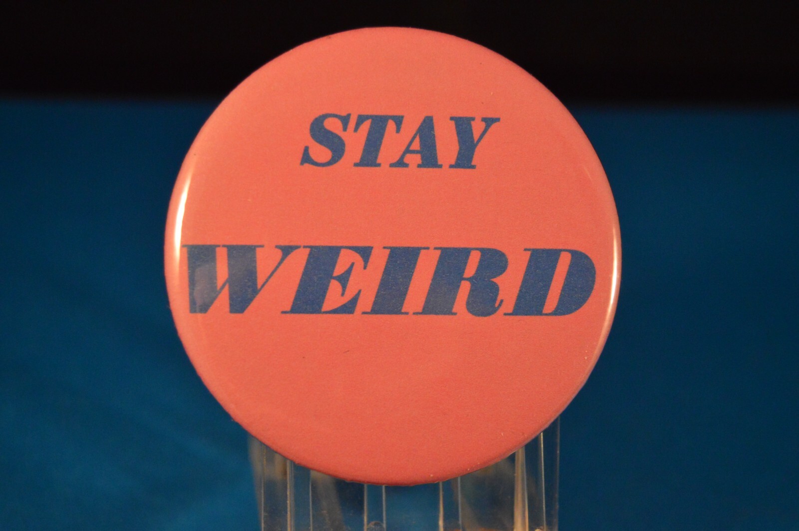 STAY WEIRD BUTTON pinback pin badge 2 1/4" humor fun strange joke ...