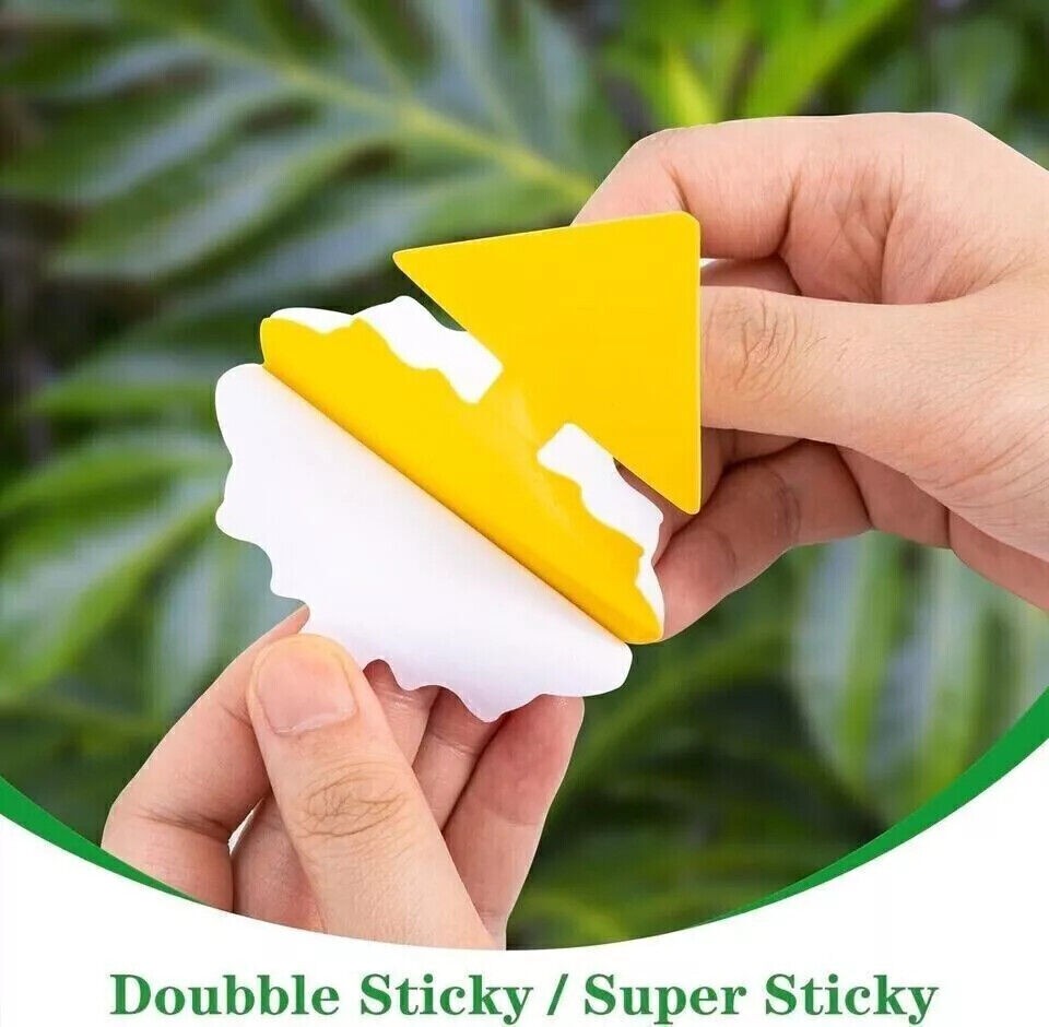 60PcsFruit Fly Traps Yellow Double-Sided Fungus Gnat Sticky Catcher ...