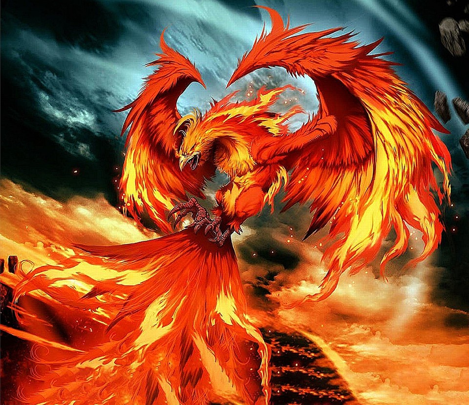 Vinyl Decal Car Hood Wrap Full Color Graphics Sticker Phoenix Kit 51"(L ...