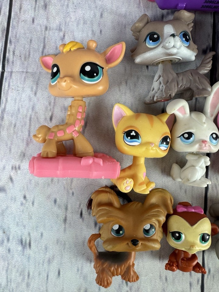 Littlest Pet Shop Lot Of 15 Loved Mixed Lot Dog, Cage, Cat,Mouse,Bunny ...