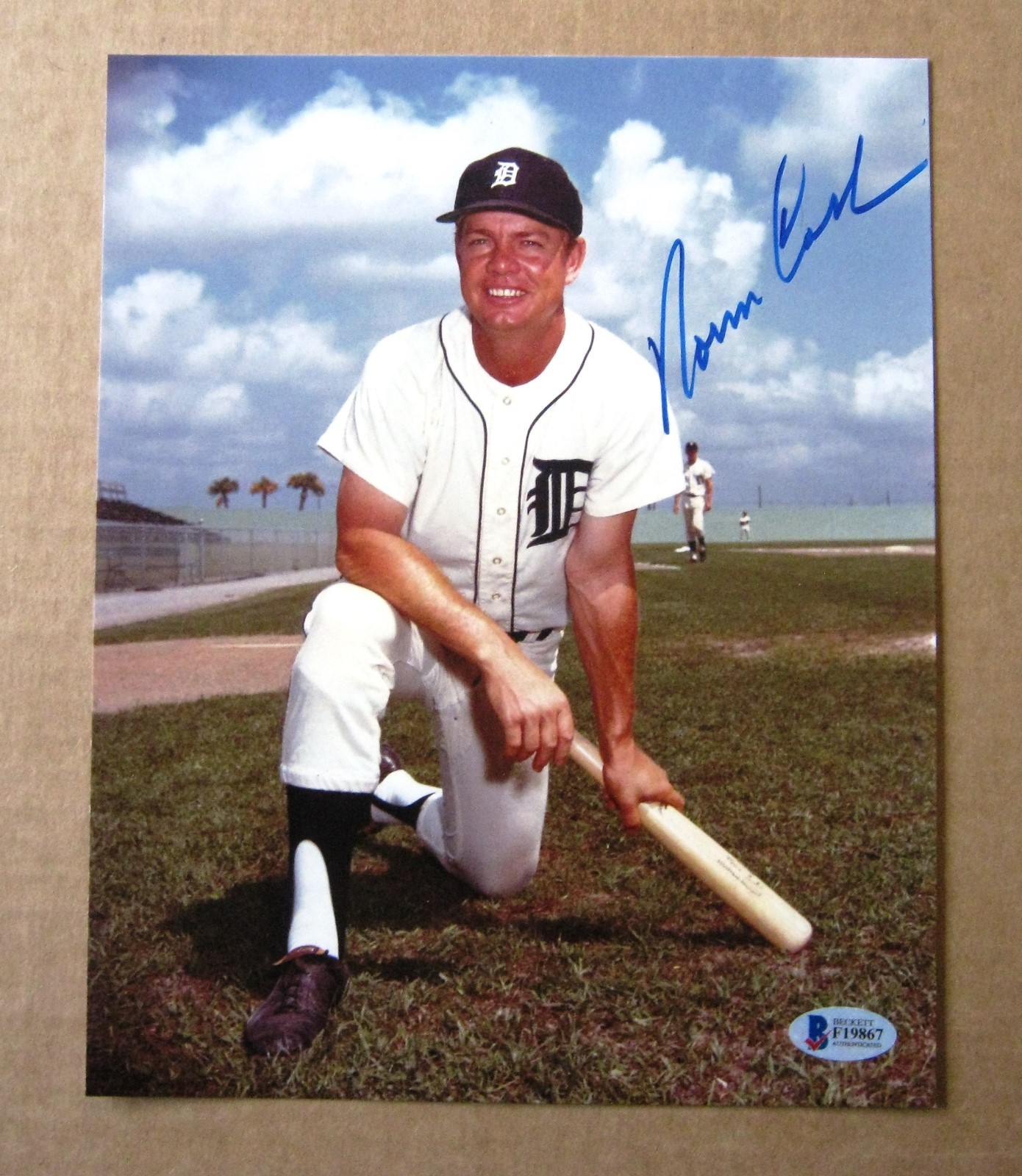 Detroit Tigers "Stormin' Norman" Norm Cash signed color 8x10 COPY! | eBay