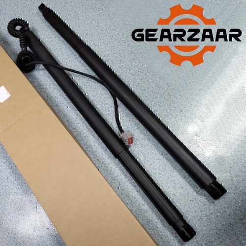 Pair For 2015~2020 Chevy Suburban Rear Trunk Tailgate Lift Gate Shock ...