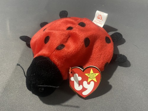 TY Beanie Baby - Lucky - Ladybird Stuffy Early Edition 1995 w/1993 Tush ...