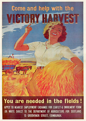 World War 2 Poster - 'Victory Harvest' Farm Work - UK - Vintage Reprint ...